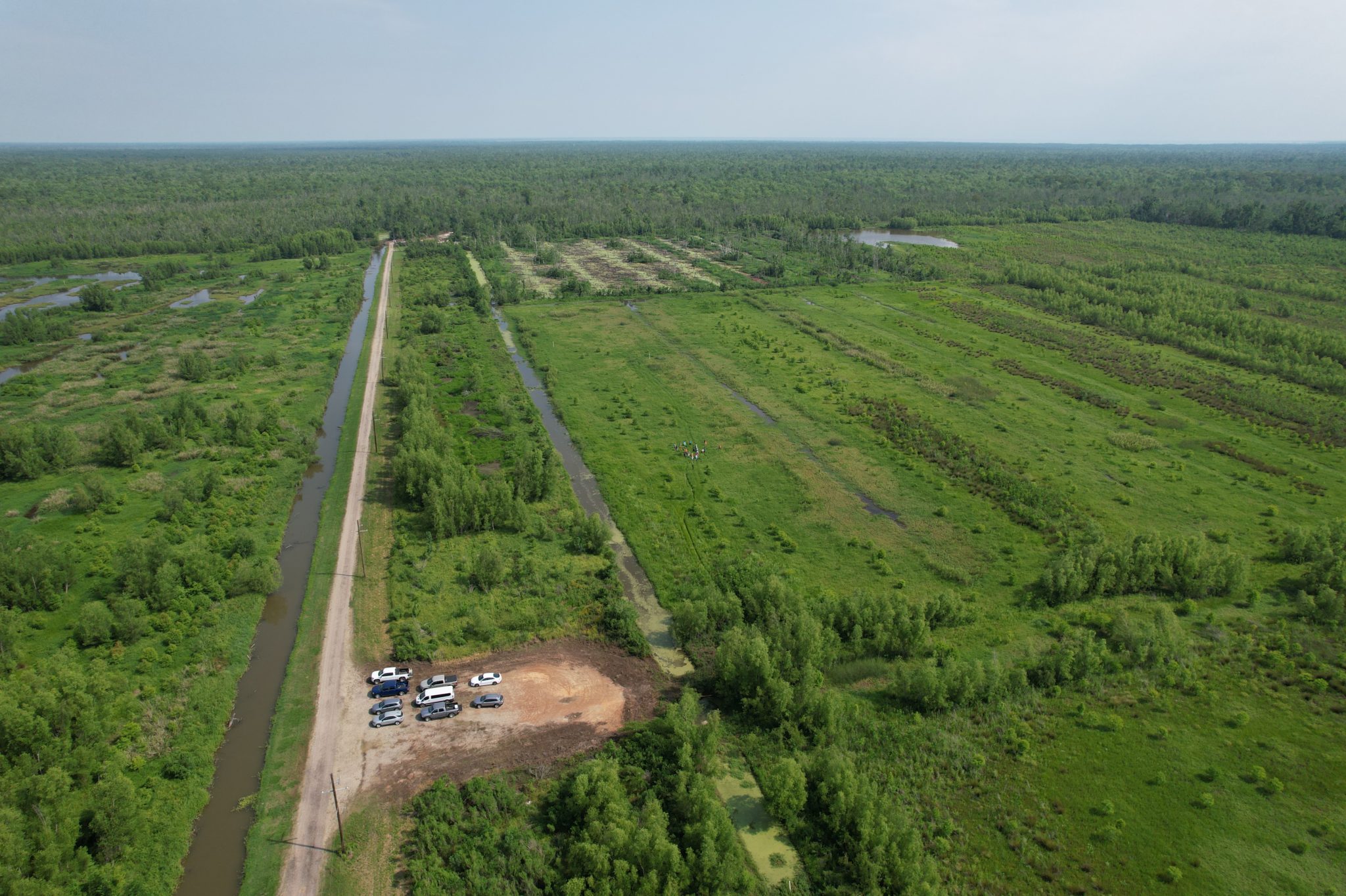 Permittee-Responsible Mitigation - Delta Land Services