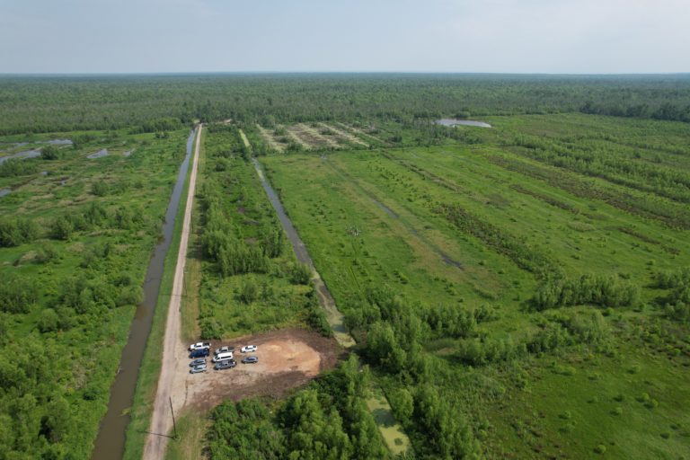 Delta Land Services - Environmental Restoration - Louisiana