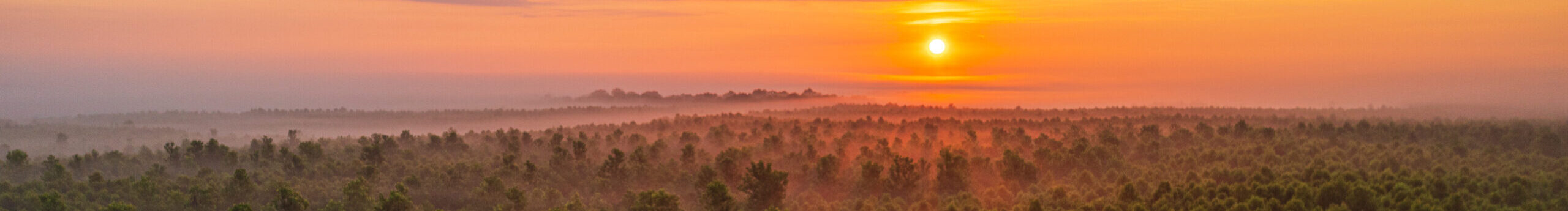 Permittee-Responsible Mitigation - Delta Land Services